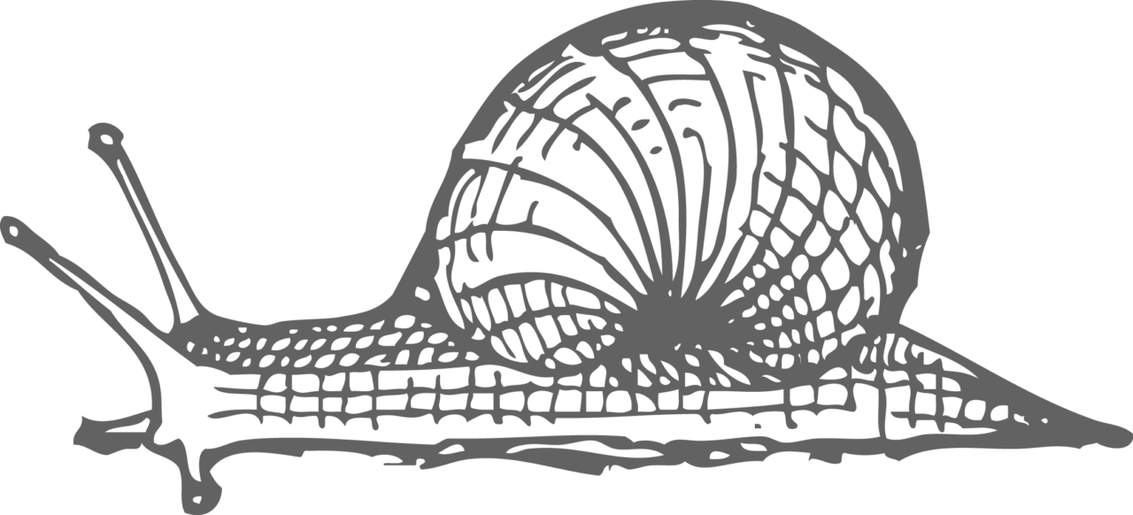 General Server Rules | Old Guard Server