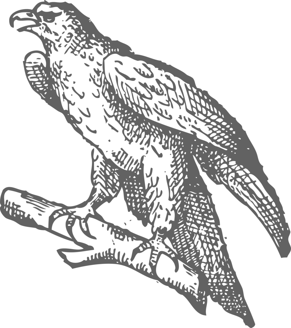 General Server Rules | Old Guard Server